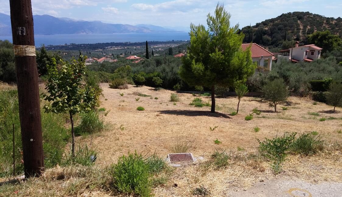 Πωλείται Οικόπεδο - Σταθόπουλος Μεσιτικό Γραφείο Πάτρα